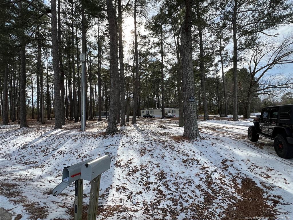 Home Default - 1st Choice Real Estate